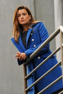 NCIS: Season 8, Episode 15 | Rotten Tomatoes