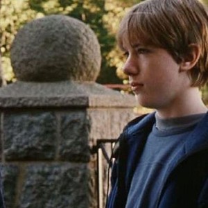 Before the Storm - Rotten Tomatoes