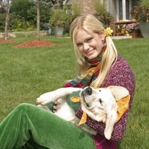 Darcy's Wild Life - Rotten Tomatoes