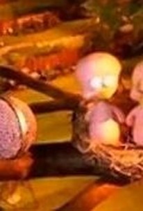 Creature Comforts: Season 1, Episode 5 | Rotten Tomatoes