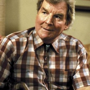 Bert Remsen - Rotten Tomatoes