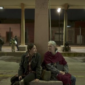 Noise - Rotten Tomatoes