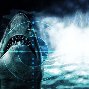 Shark Hunter - Rotten Tomatoes