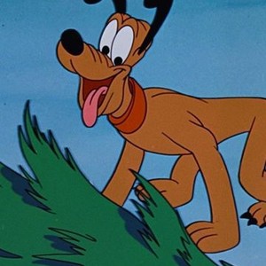 Pluto's Christmas Tree - Rotten Tomatoes