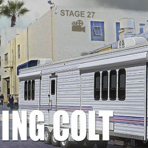 Racing Colt - Rotten Tomatoes