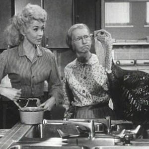 The Beverly Hillbillies: Season 2 - Rotten Tomatoes