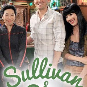Sullivan & Son - Rotten Tomatoes