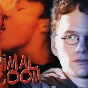 Animal Room - Rotten Tomatoes