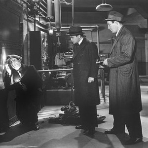 Max Rosenbloom - Rotten Tomatoes