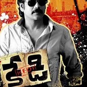 Kedi - Rotten Tomatoes