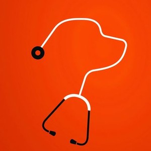 The Dog Doc - Rotten Tomatoes