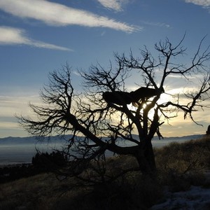 17 Miracles - Rotten Tomatoes