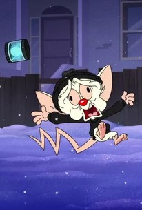 Animaniacs: Season 3, Episode 9 | Rotten Tomatoes