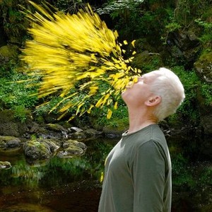 Rivers and Tides: Andy Goldsworthy Working with Time - Rotten Tomatoes