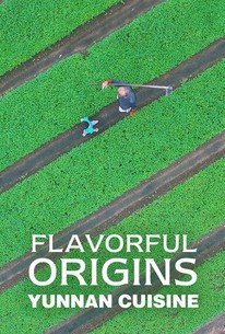 Flavorful Origins: Season 2 | Rotten Tomatoes