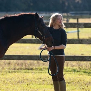 Dear John - Rotten Tomatoes