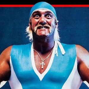 No Holds Barred - Rotten Tomatoes