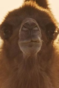 Evolution Earth: Season 1, Episode 3 | Rotten Tomatoes