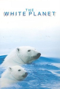 The White Planet | Rotten Tomatoes