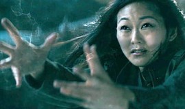 Stray - Rotten Tomatoes