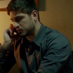 The Fall - Rotten Tomatoes