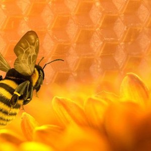 The Pollinators - Rotten Tomatoes