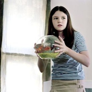 Katie Knight - Rotten Tomatoes