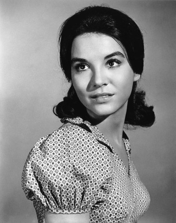 Lisa Holgate's Instagram, Twitter & Facebook on IDCrawl