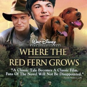 Where the Red Fern Grows - Rotten Tomatoes