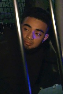 Cops: Season 32, Episode 13 | Rotten Tomatoes