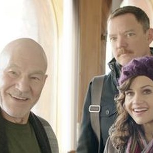 Match - Rotten Tomatoes