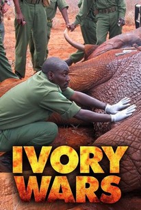 Ivory Wars | Rotten Tomatoes