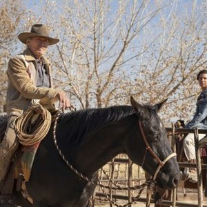 Cry Macho - Rotten Tomatoes