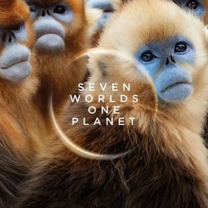 Seven Worlds, One Planet - Rotten Tomatoes