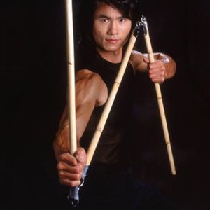 Robin Shou - Rotten Tomatoes