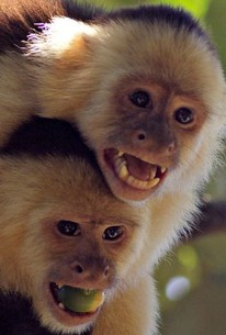 Ingenious Animals: Season 1, Episode 2 | Rotten Tomatoes