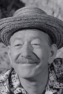 Perry Mason: Season 7, Episode 28 | Rotten Tomatoes