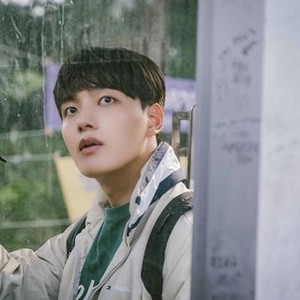 Ditto - Rotten Tomatoes