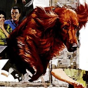 Big Red - Rotten Tomatoes