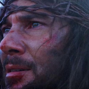 Jason Tobias - Rotten Tomatoes