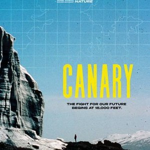 Canary - Rotten Tomatoes
