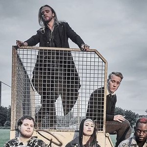 Bite Night - Rotten Tomatoes