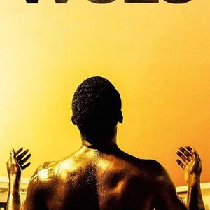 Wùlu - Rotten Tomatoes