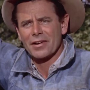 The Americano - Rotten Tomatoes