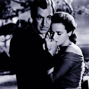 Night Without Stars - Rotten Tomatoes