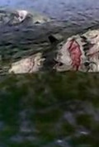 Surface: Season 1, Episode 4 - Rotten Tomatoes