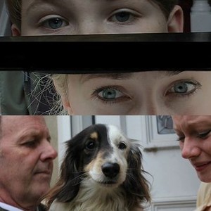 Jailhouse Dog - Rotten Tomatoes