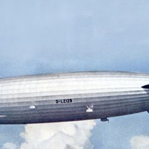 What Went Down - Rotten Tomatoes