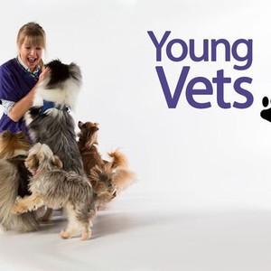 Young Vets - Rotten Tomatoes