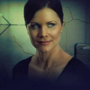 The Perfect Assistant - Rotten Tomatoes